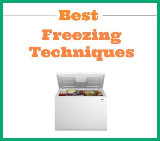Freezer Storage 101: Freezing Techniques :: Southern Savers