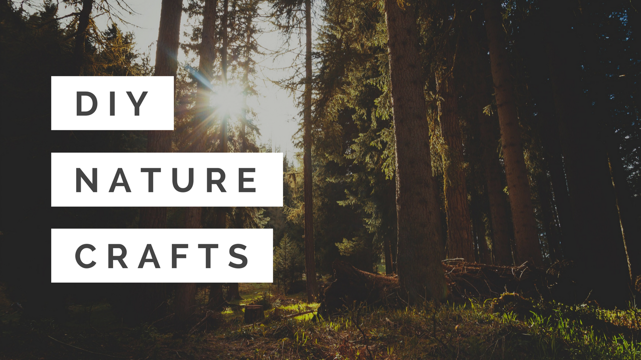 DIY Nature Crafts :: Southern Savers