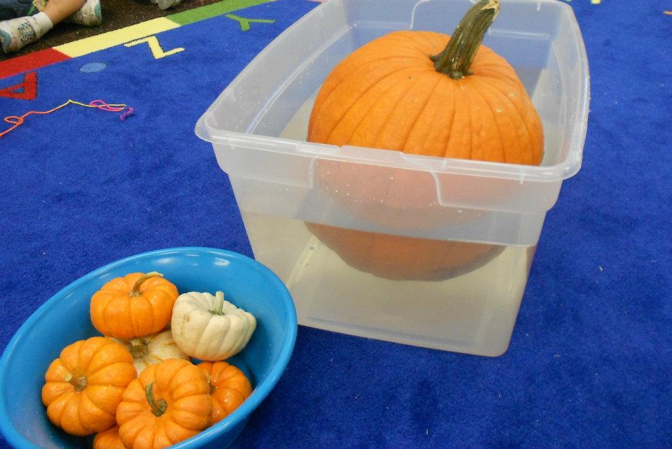 Frugal Homeschool Activities: All About Pumpkins :: Southern Savers