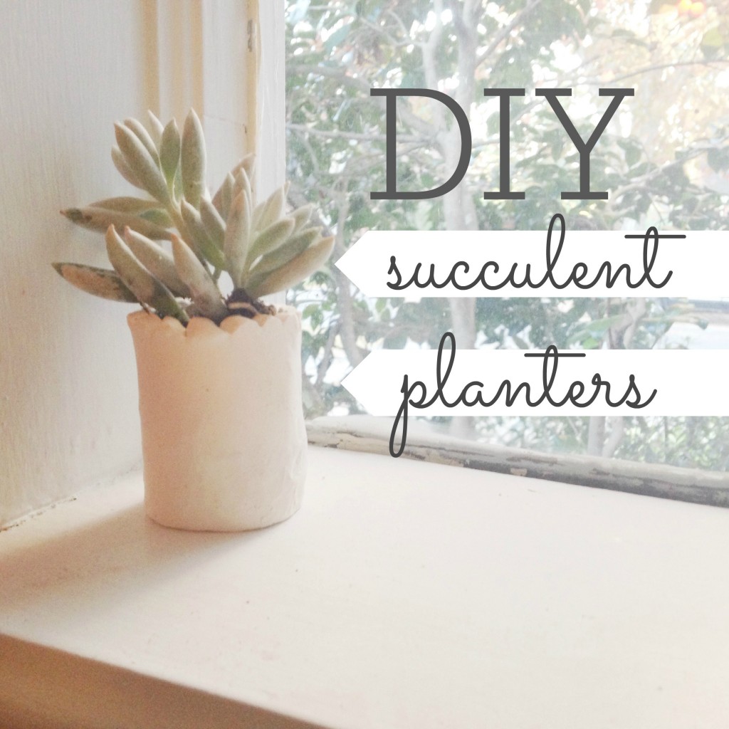 DIY Christmas: Mini Succulent Planters :: Southern Savers