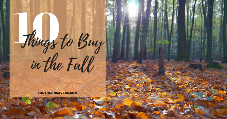 10 Things to Buy in the Fall :: Southern Savers