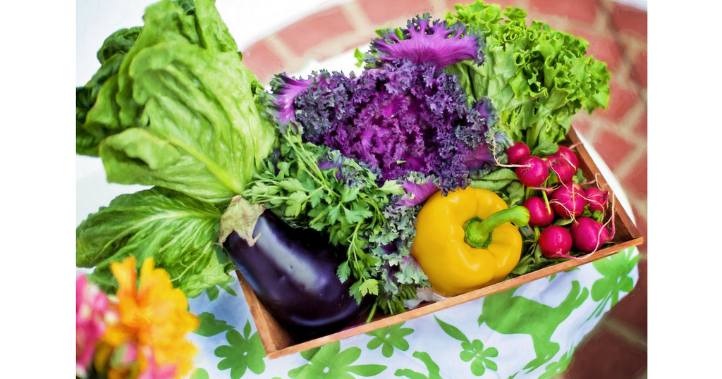 What To Plant In Spring :: Southern Savers