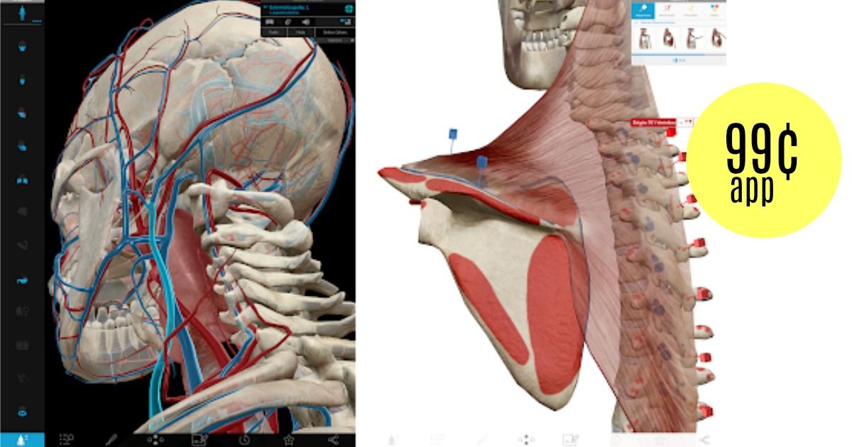 99 Human Anatomy Atlas App reg 24 99 Southern Savers 99 Human Anatomy Atlas App reg 24 99 Southern Savers