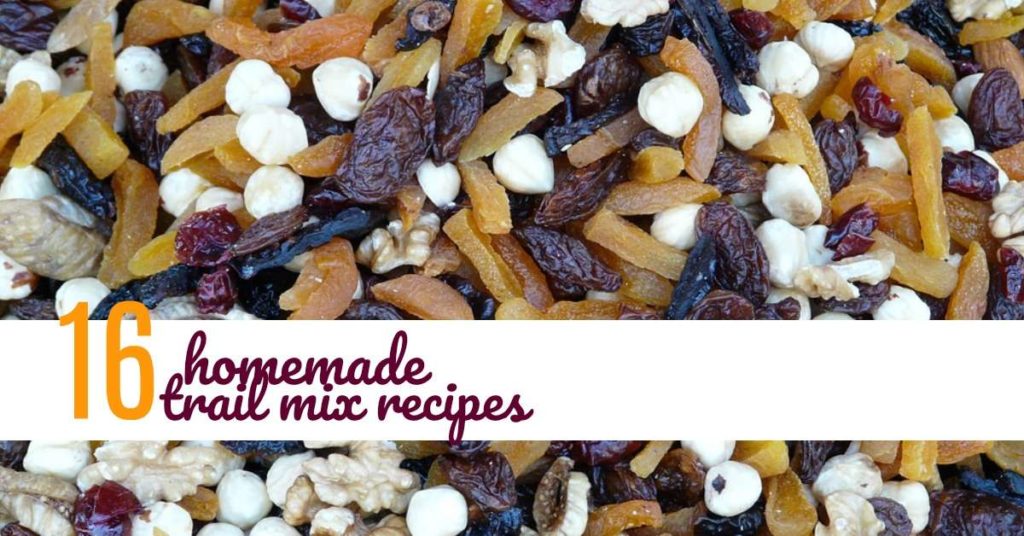 16 Homemade Trail Mix Recipes :: Southern Savers