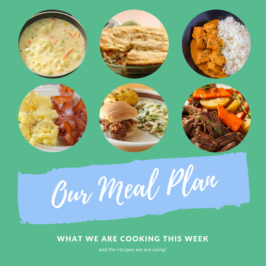 Our Meal Plan This Week :: Southern Savers