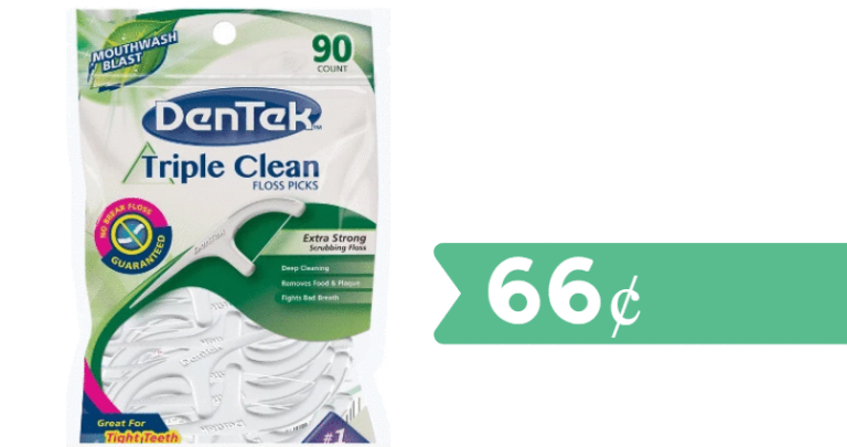 Target Deal | Dentek Floss Picks for 66¢ :: Southern Savers