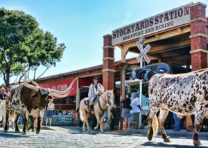 Top 25 Free Things to Do in Dallas Fort Worth :: Southern Savers