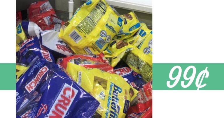Publix Deal | Nestle Fun Size Candy Bags for 99¢ :: Southern Savers