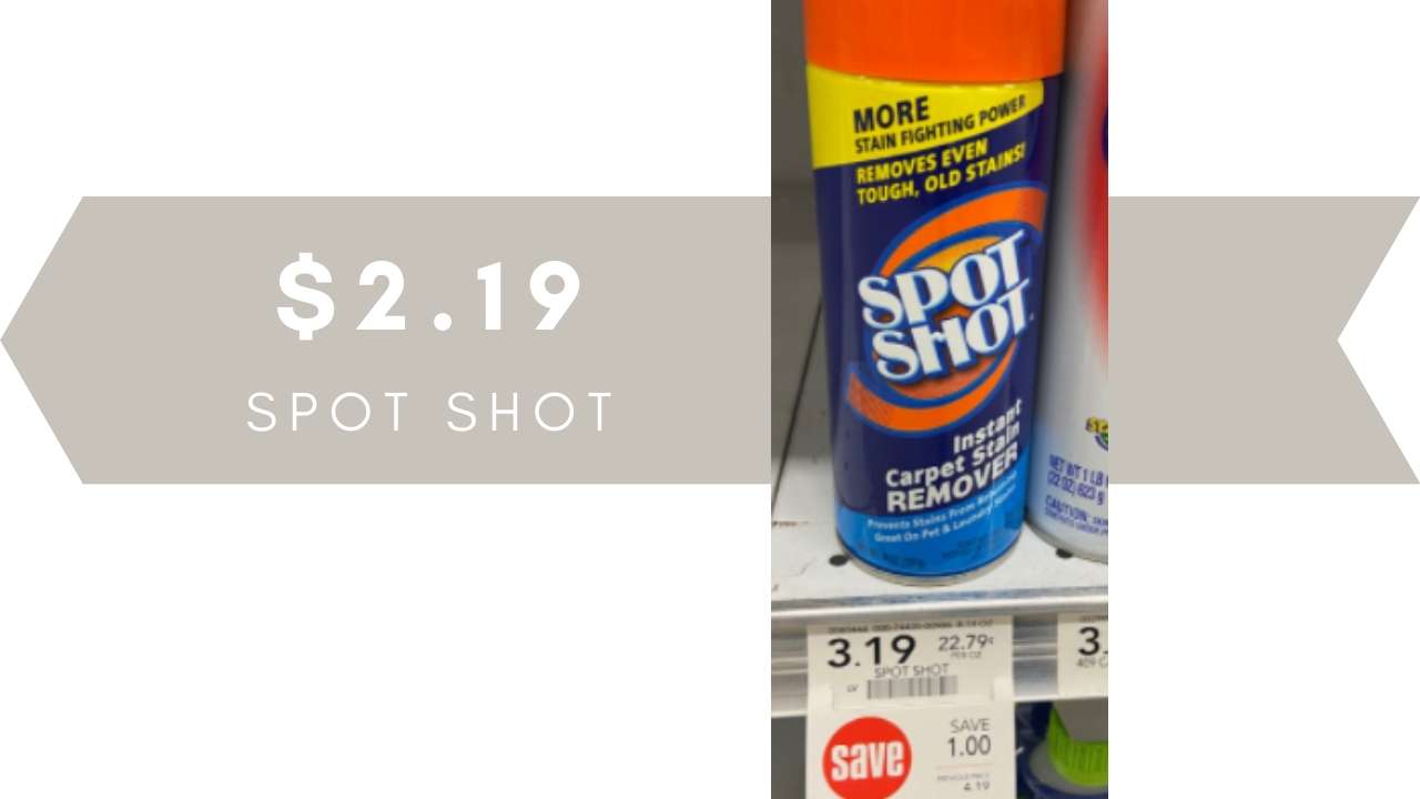 Publix | $2.19 Spot Shot Instant Carpet Stain Remover :: Southern Savers