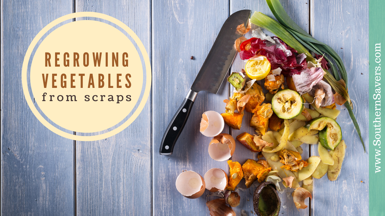 How to Regrow Vegetables from Scraps :: Southern Savers