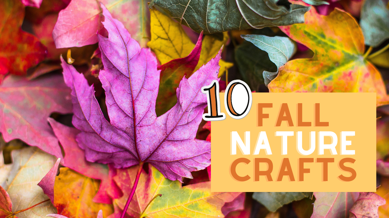 10 Fall Nature Crafts for Perfect Fall Decor :: Southern Savers