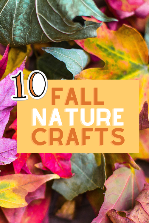10 Fall Nature Crafts for Perfect Fall Decor :: Southern Savers