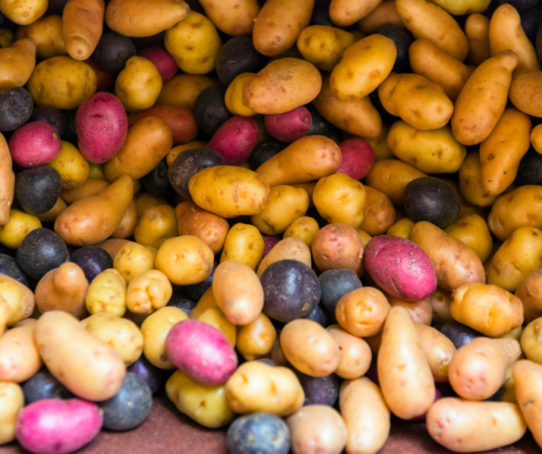 What to Buy in December | Grocery Store Trends :: Southern Savers