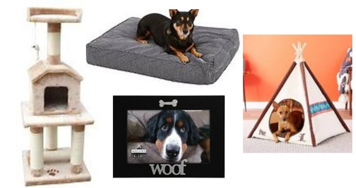 Chewy Sale | Cat & Dog Covered Bed for $12.60 :: Southern Savers
