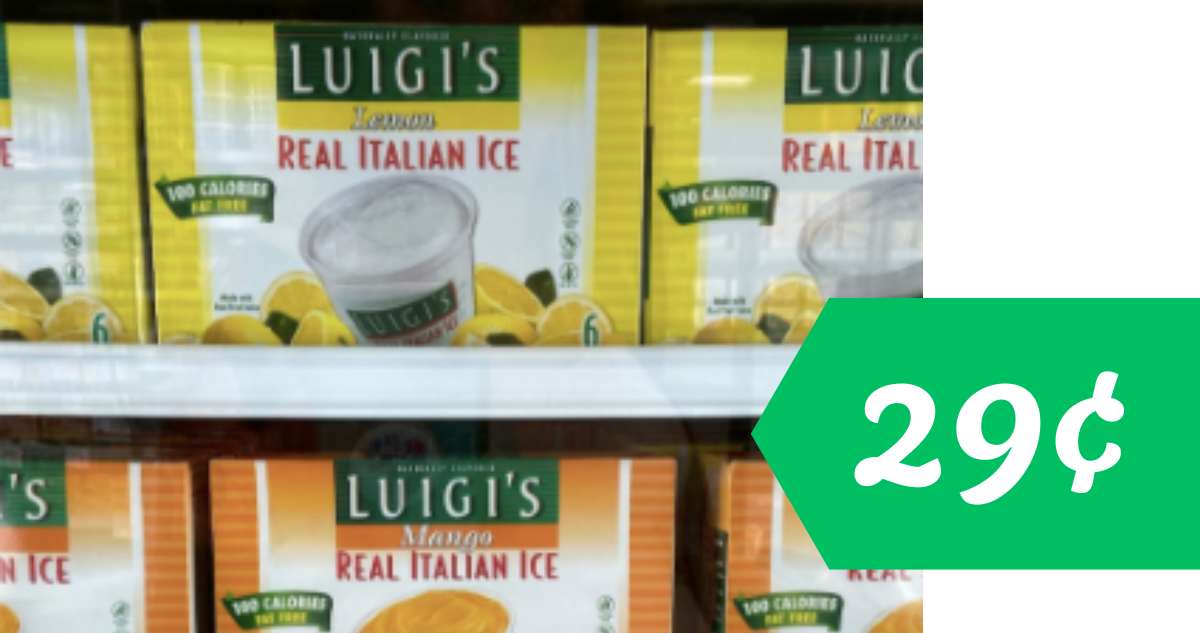 29¢ Luigi’s Real Italian Ice at Publix :: Southern Savers