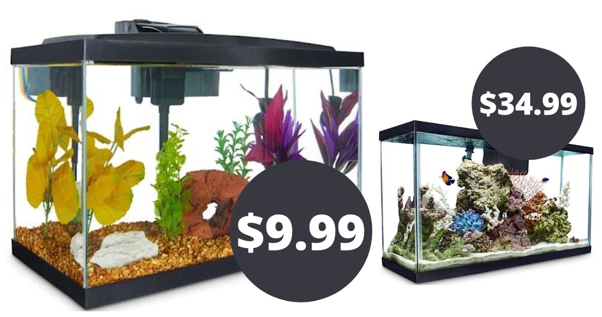 Petco | 10 Gallon Aquarium Tank for $9.99 :: Southern Savers
