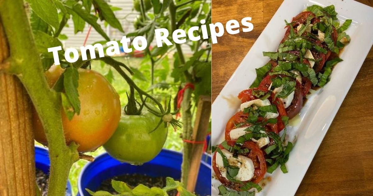 12 Garden Tomato Recipes :: Southern Savers