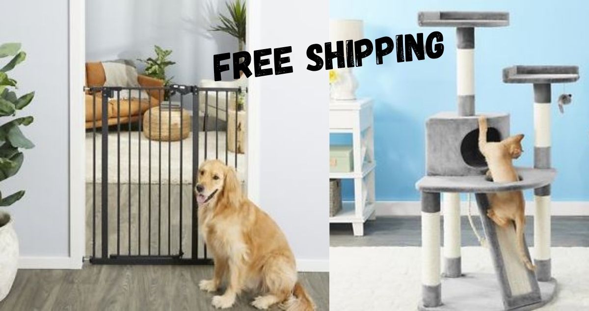 Chewy Sale | Free Shipping on Select Pet Furniture :: Southern Savers