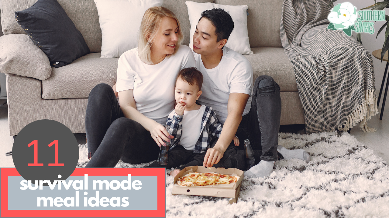 11 Survival Mode Meal Ideas :: Southern Savers