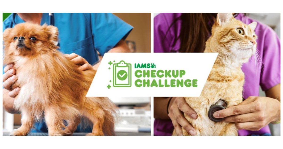 Iams Check Up Challenge