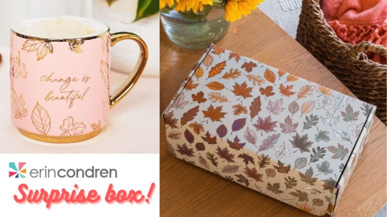 Erin Condren New Fall Surprise Box for $40 Shipped :: Southern Savers