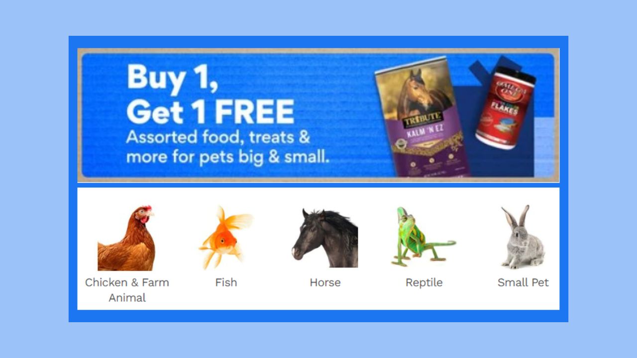 Chewy | B1G1 Free Food, Treats & More! :: Southern Savers