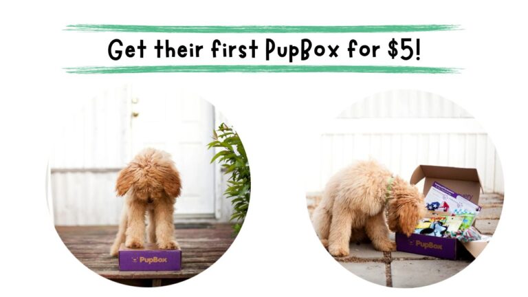 Personalized PupBox Only $5 With Code :: Southern Savers