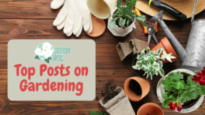 Southern Savers Top Gardening Posts :: Southern Savers