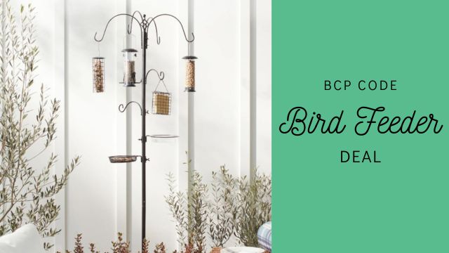 BCP Coupon Code | Bird Feeding Station $34.99 (Reg. $69.99) :: Southern ...