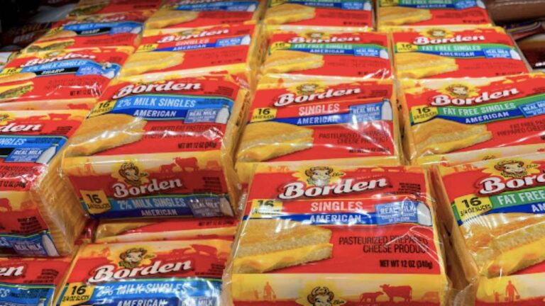 $2.07 Borden Cheese Singles at Publix :: Southern Savers