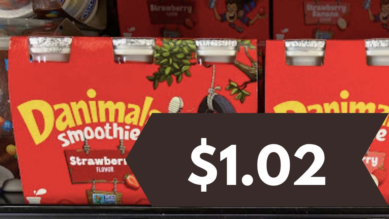 6-Pk Dannon Danimals Yogurt Smoothies for $1.02 :: Southern Savers