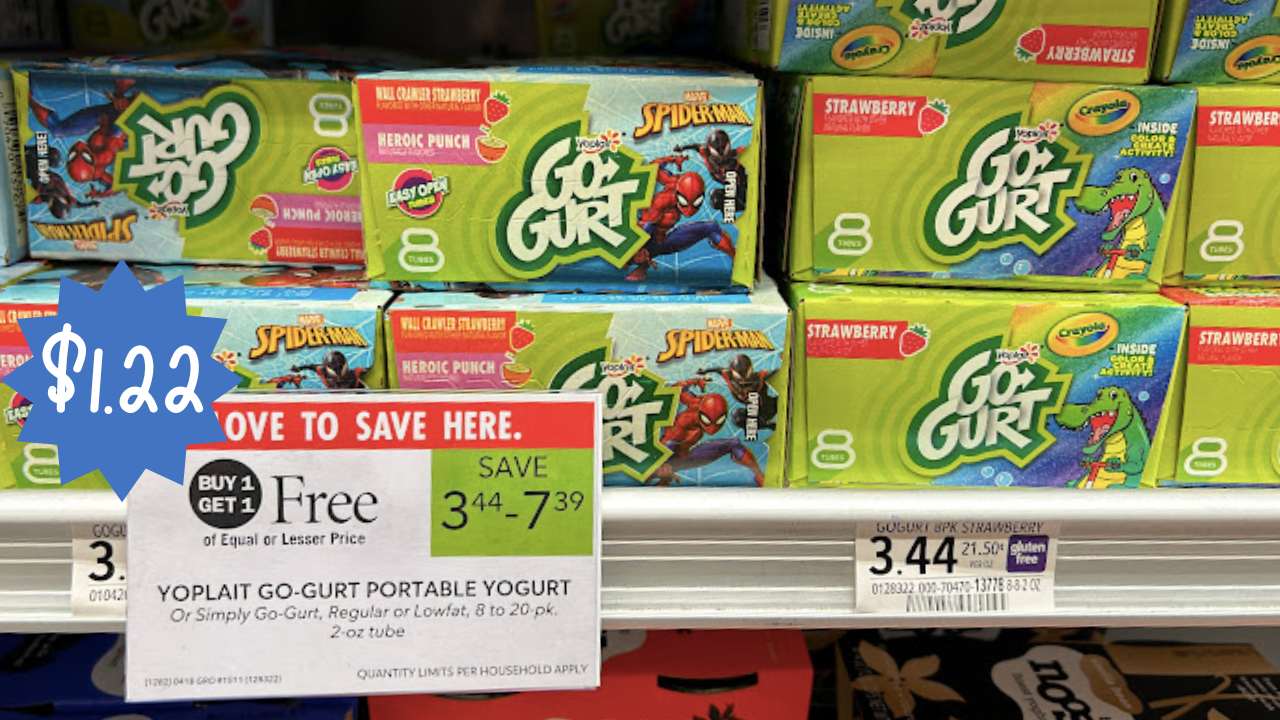 $1.22 Yoplait Go-Gurt at Publix :: Southern Savers