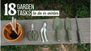18 Garden Tasks to Do in Winter :: Southern Savers