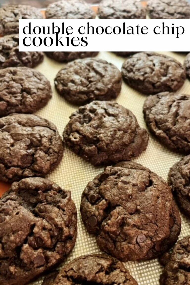 Double Chocolate Chip Cookies Recipe :: Southern Savers