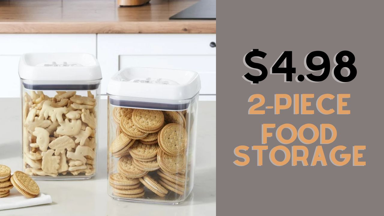Walmart | 2-Piece Storage Container Set Only $4.98 (reg. $9.98 ...