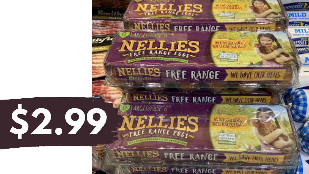 $2.99 Nellie's Free Range Eggs at Publix :: Southern Savers