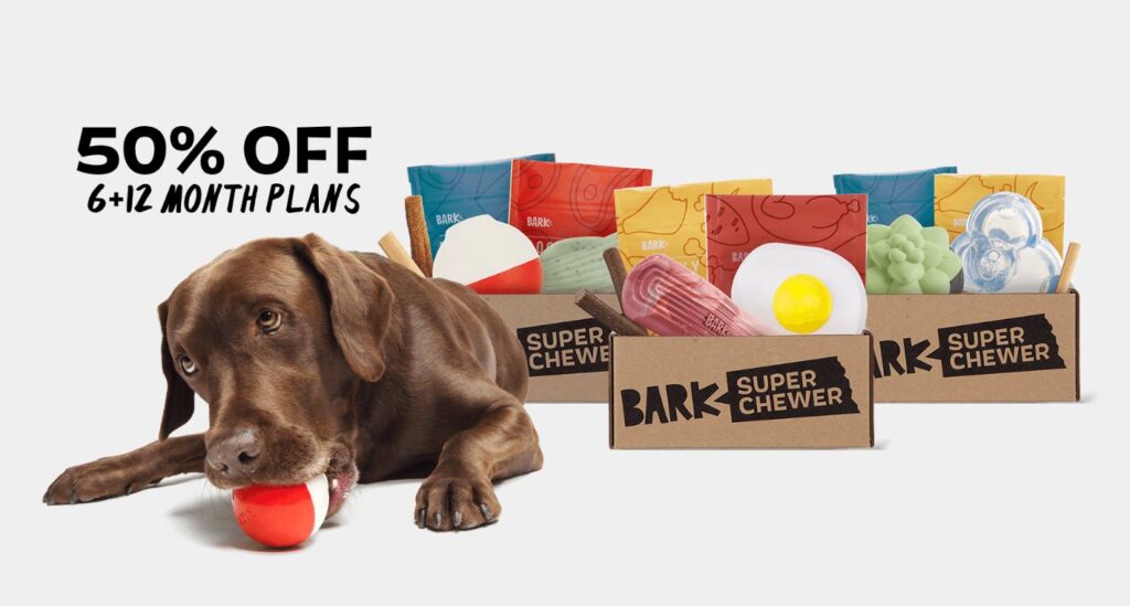 50% off Super Chewer Bark Box :: Southern Savers