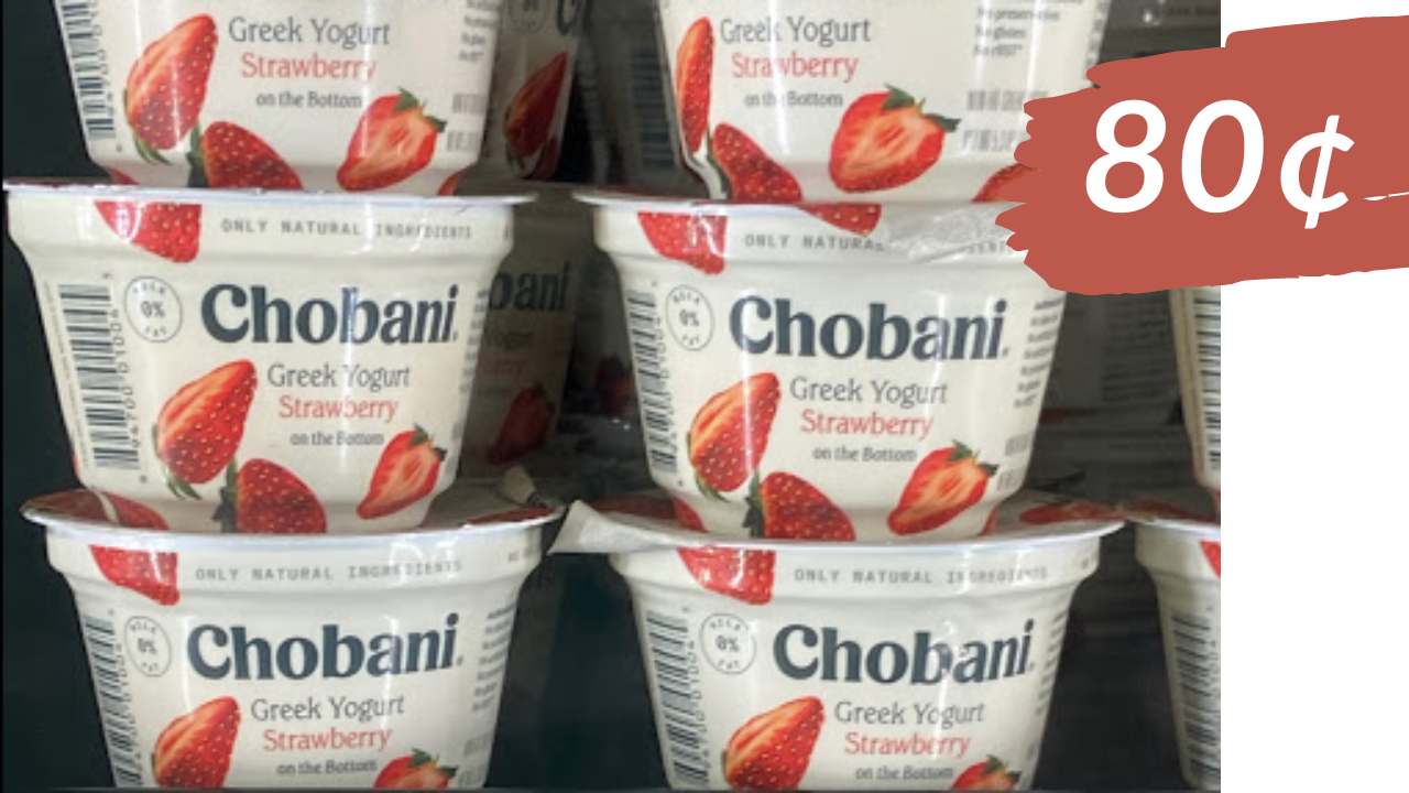 80¢ Chobani Greek Yogurt at Publix :: Southern Savers