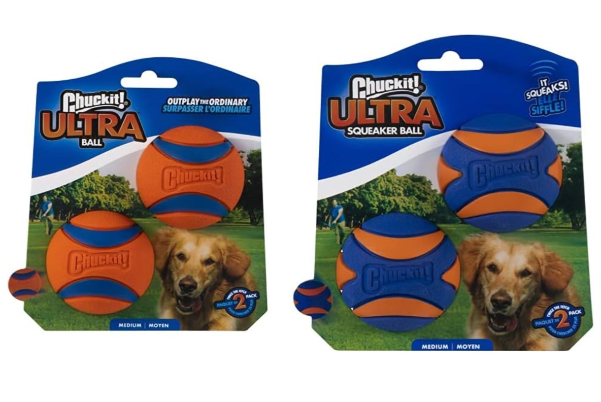 Up to 75% off ChuckIt! Dog Toys :: Southern Savers