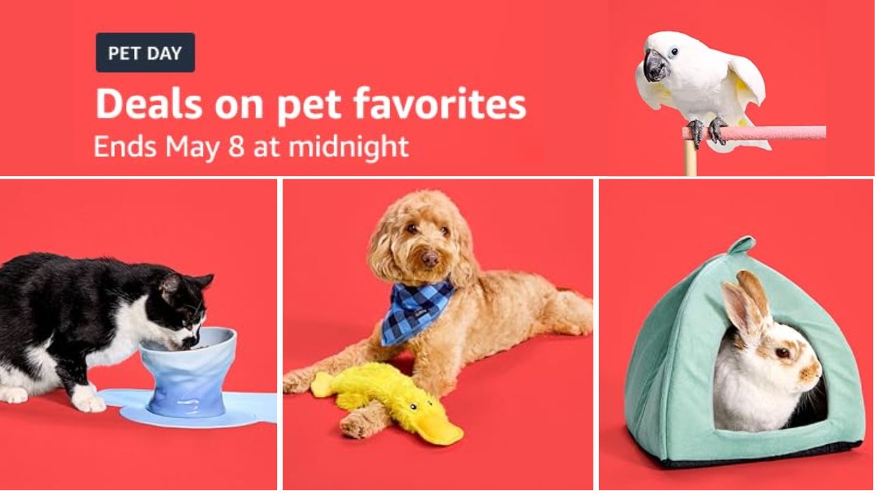 Amazon Pet Day Deals End Today! :: Southern Savers