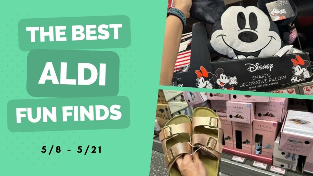 Aldi Fun Finds | The CUTEST Mickey Stuff, Outdoor Stuff & More ...