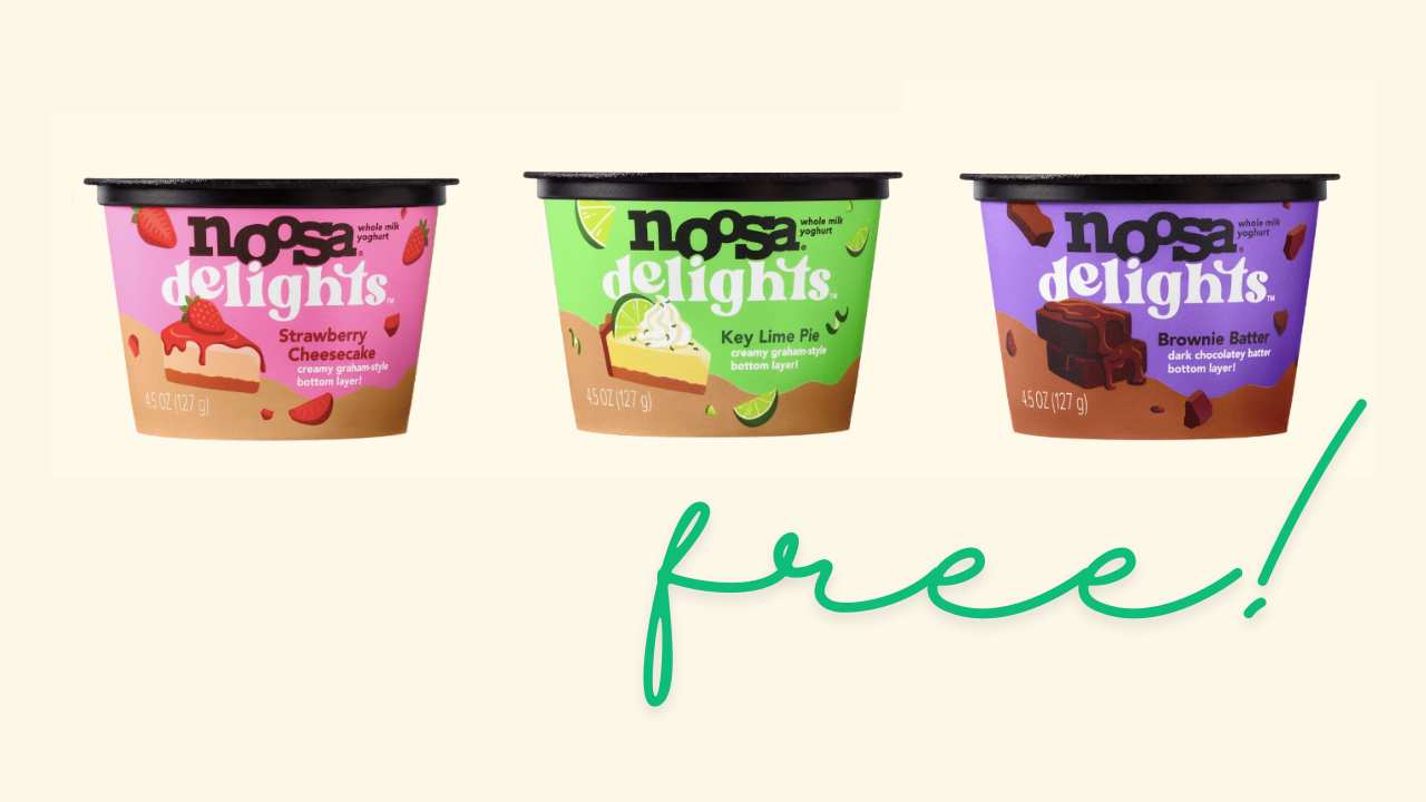99¢ Moneymaker Noosa Delights Yoghurt at Kroger! :: Southern Savers