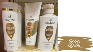 Get Pantene Haircare for $2 at Walgreens :: Southern Savers