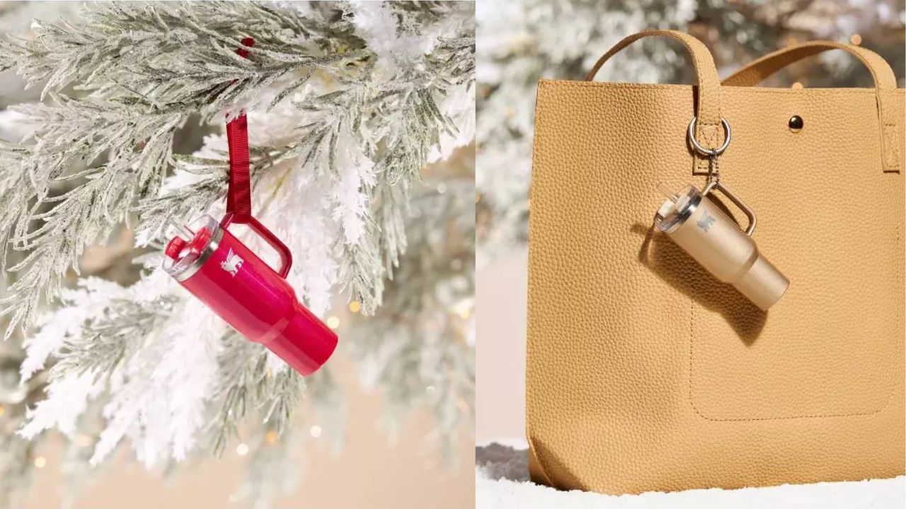 $10 Stanley Water Bottle Ornament Keychain at Target :: Southern Savers
