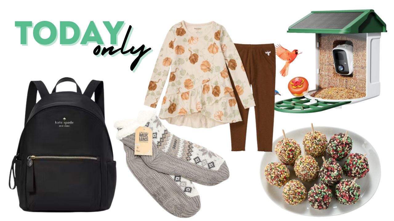Today Only Deals | November 6, 2024 :: Southern Savers
