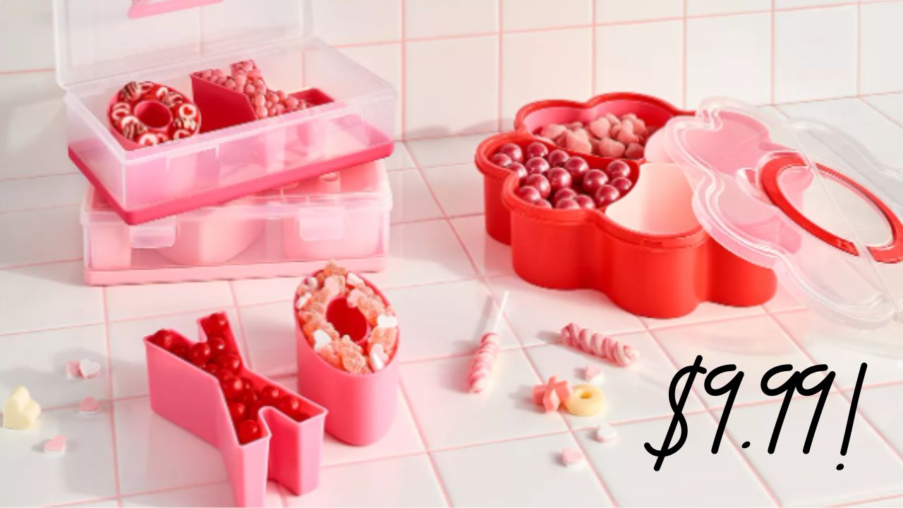 Valentine's Day Snackle Boxes for $9.99 at Target! :: Southern Savers