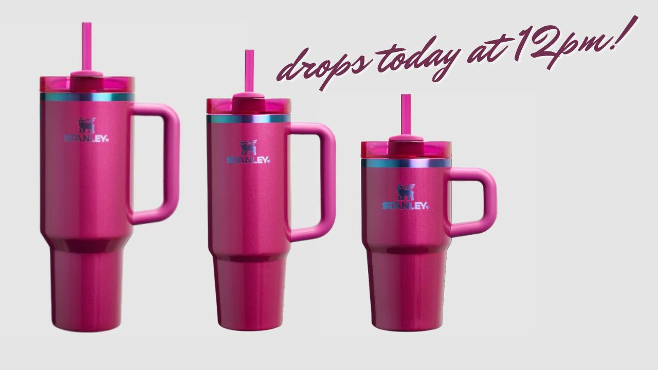 Stanley Valentine's Day Tumbler Drops at 12pm Noon Today! :: Southern ...