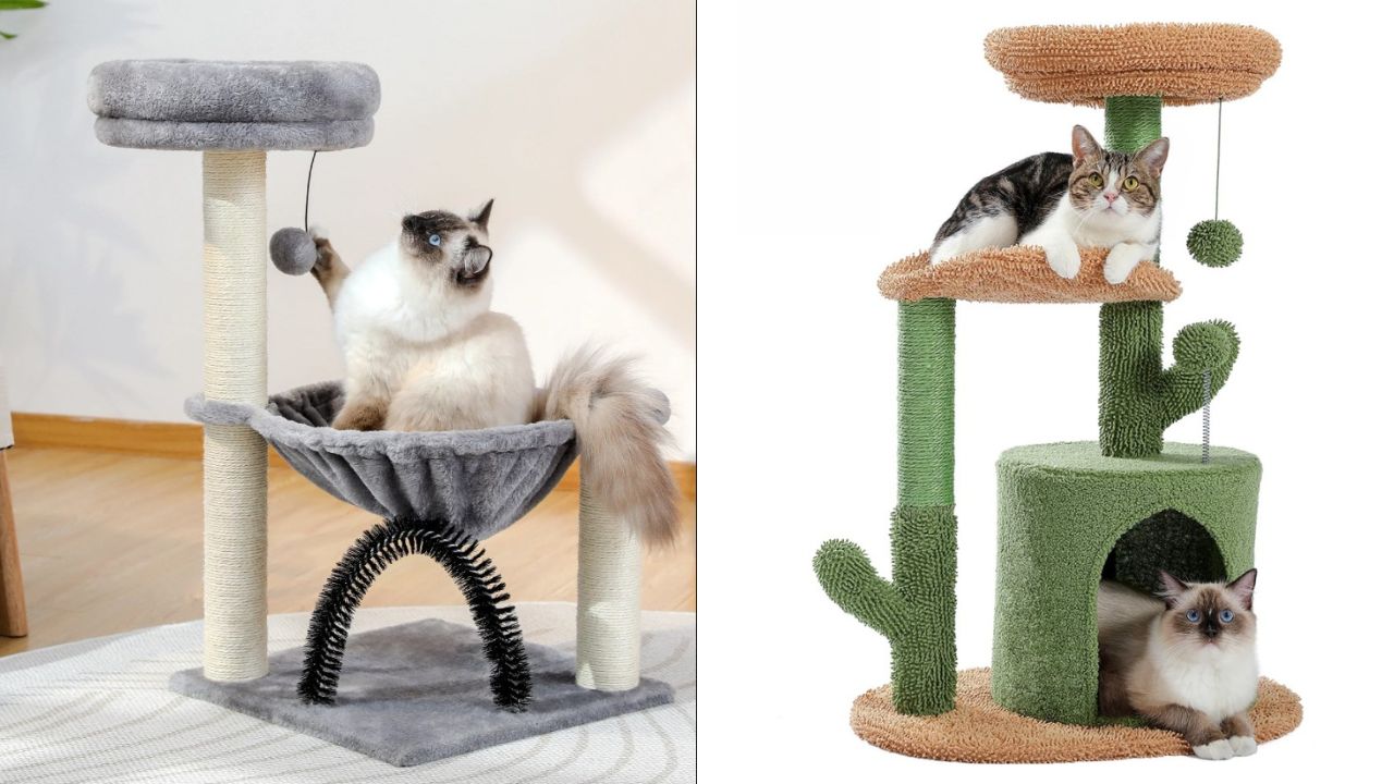 Pawz Road Cat Trees Starting at $19.99 (reg. $50) at Walmart ...