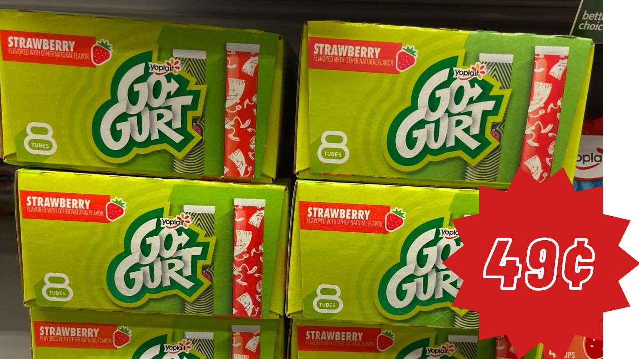 49¢ Yoplait Go-Gurt at Publix :: Southern Savers