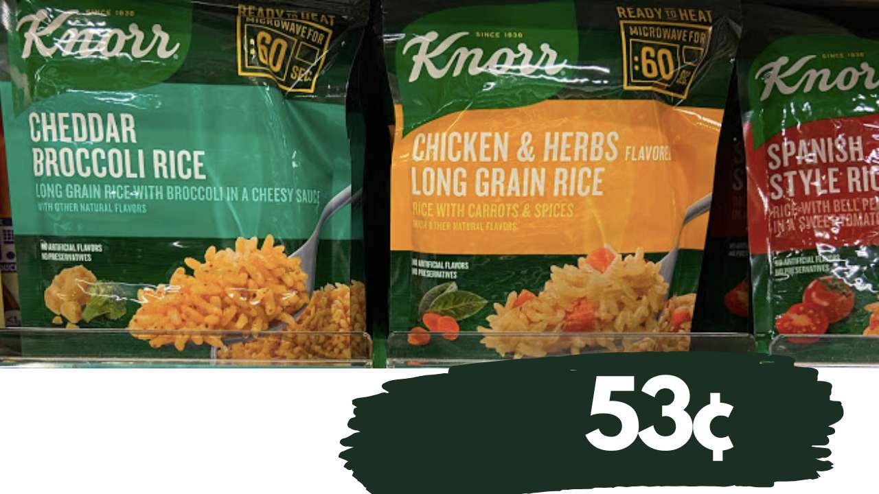 53¢ Knorr Pasta & Rice Sides at Publix :: Southern Savers